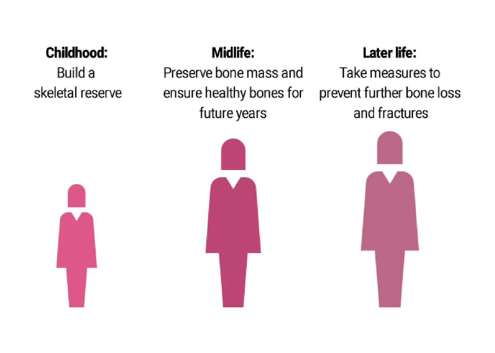 Bone Health – Menacal7